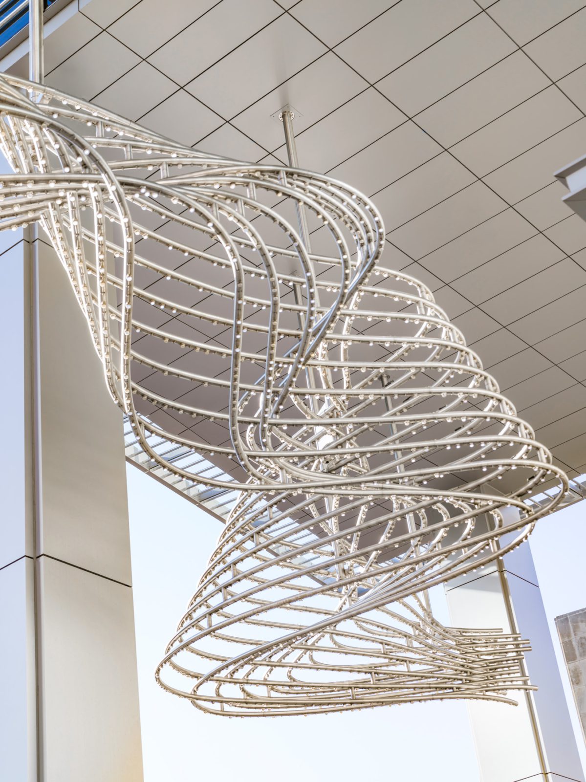 Murmurations - CRAFT Engineering Studio